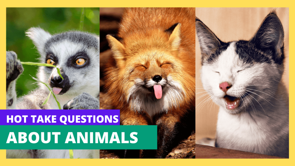 99+ Spicy Hot Take Questions To Start A Fiery Debate